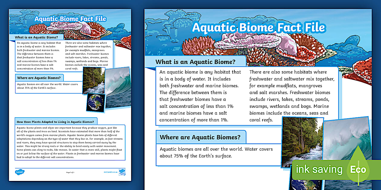 Aquatic Biome Fact File | Environments and Adaptations