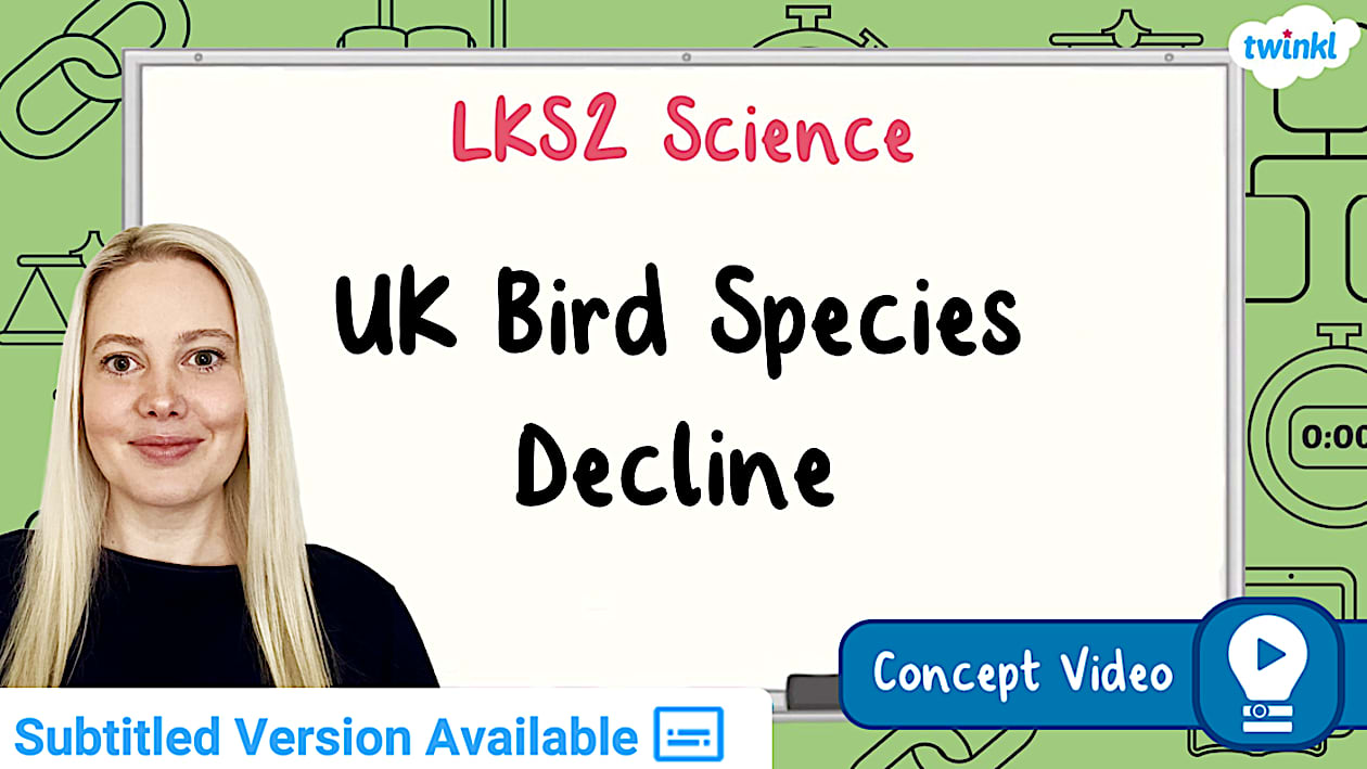 UK Bird Species Decline | LKS2 Science Concept Video