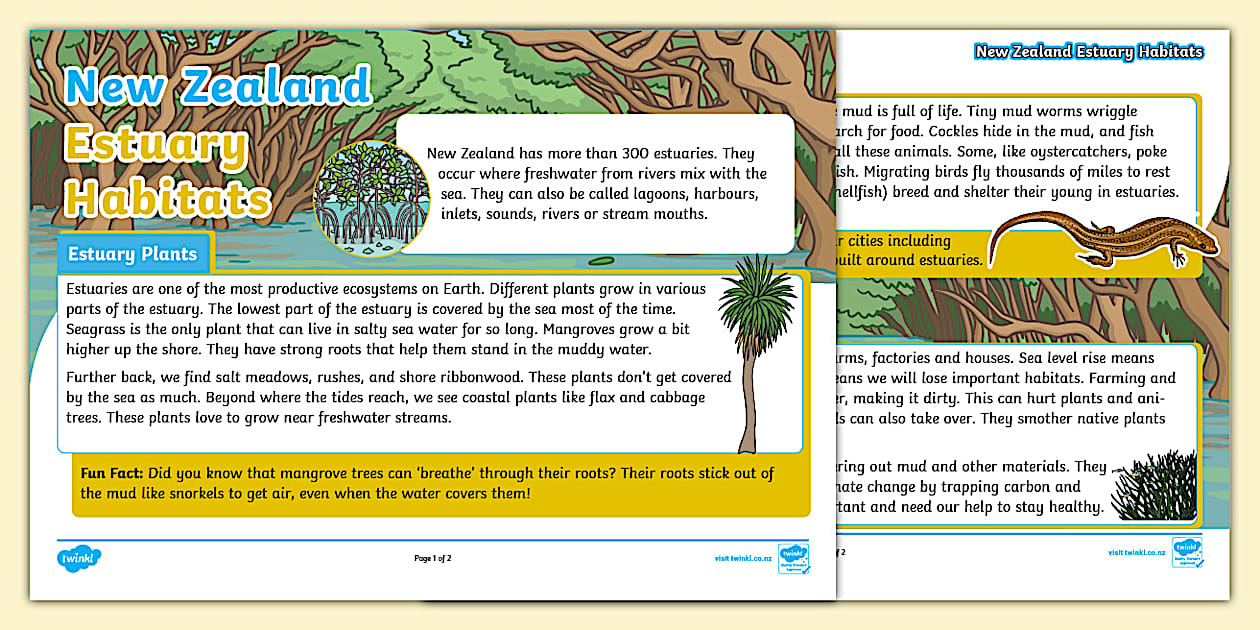 New Zealand Estuaries Habitats Fact File