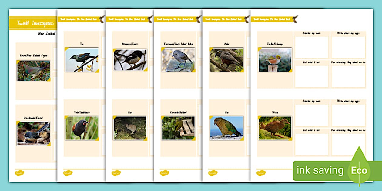 The New Zealand Bush - New Zealand Native Bird Research