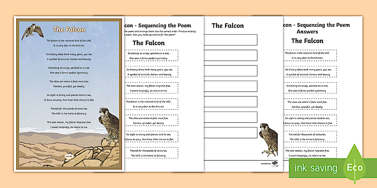 Falcon Poem Sequencing Verses Worksheet / Worksheet - Twinkl