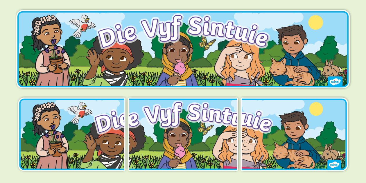 Die Vyf Sintuie Vertoon Banier - Twinkl
