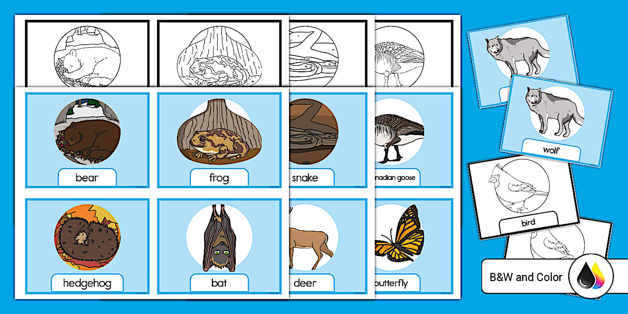 Animals in Winter Matching Game (teacher made) - Twinkl