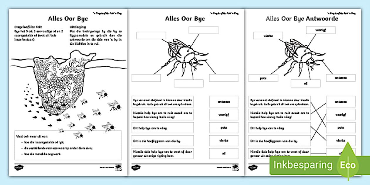 Alles Oor Bye Aktiwiteit (l'enseignant a fait) - Twinkl