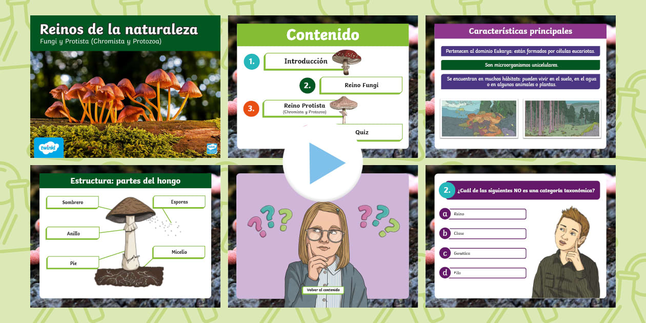Presentación reinos Fungi y Protista - Twinkl Colombia