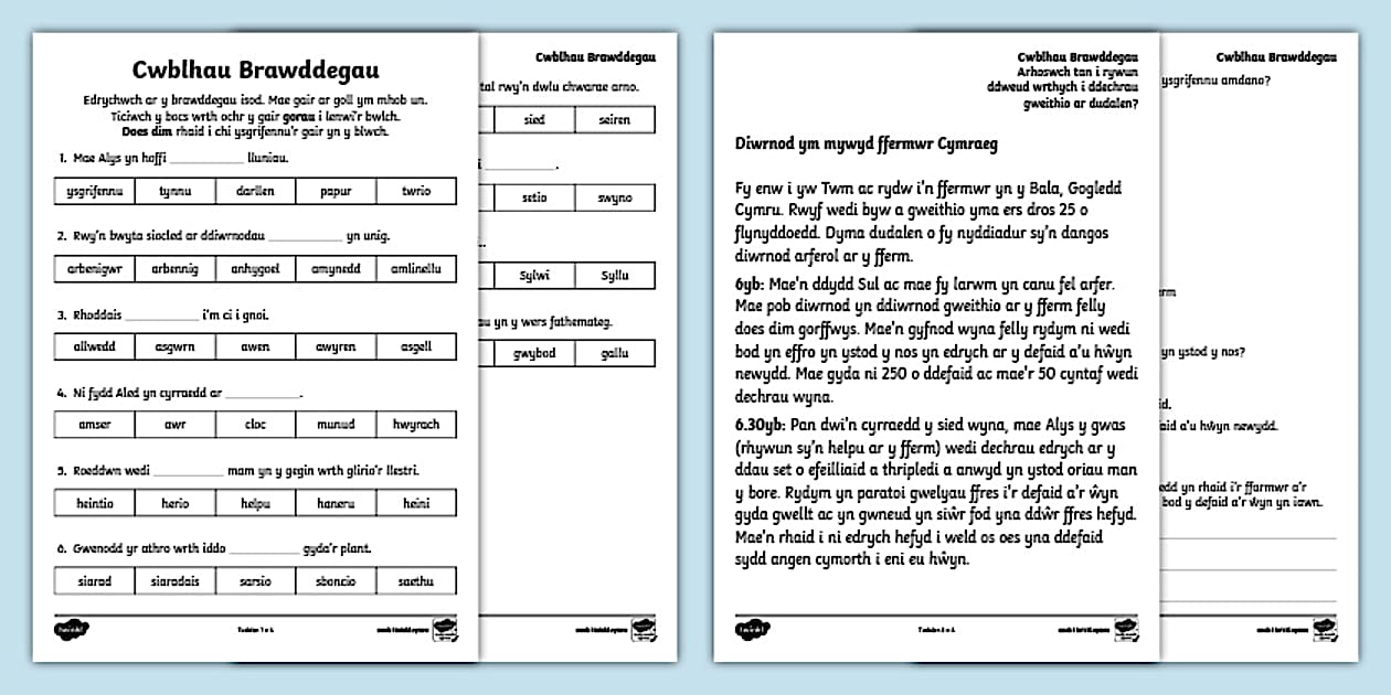 Taflenni Gweithgaredd Adnoddau Prawf Darllen CC2,blwyddyn 2,blwyddyn3