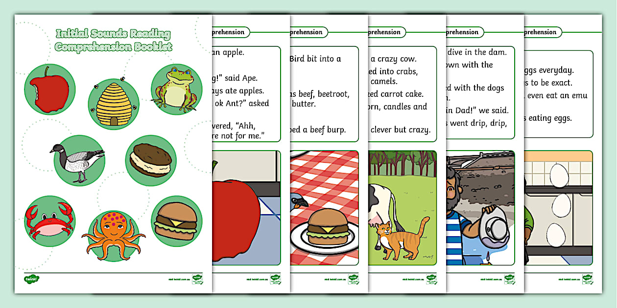 Initial Sounds Reading Comprehension Book (teacher made)