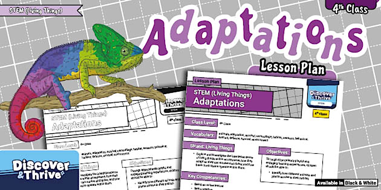 STEM (Living Things) Adaptations Lesson Plan 4th Class