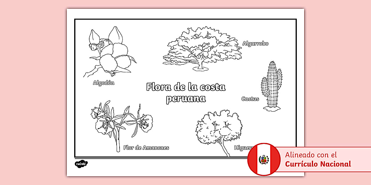 Hoja de colorear: Flora de la costa peruana - Twinkl