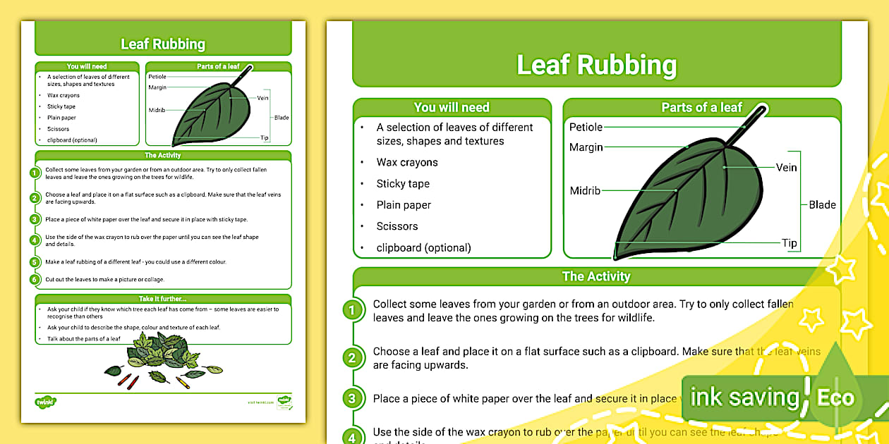 Leaf Rubbing Activity (Teacher-Made) - Twinkl