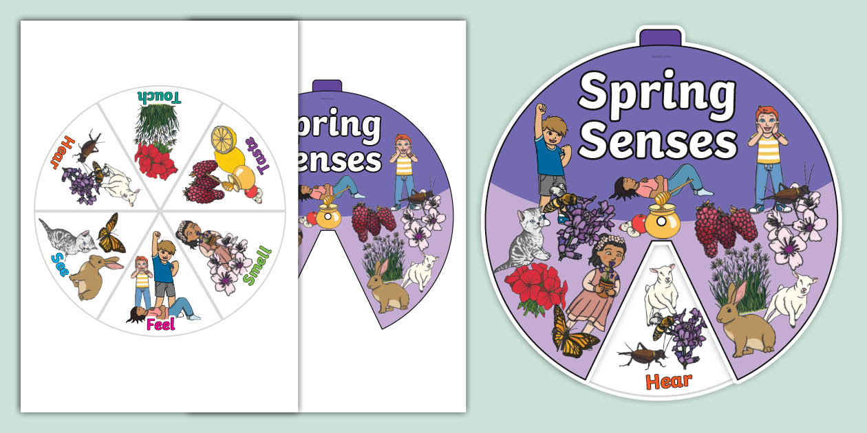 Spring Senses Spinning Wheel - Twinkl English (teacher made)