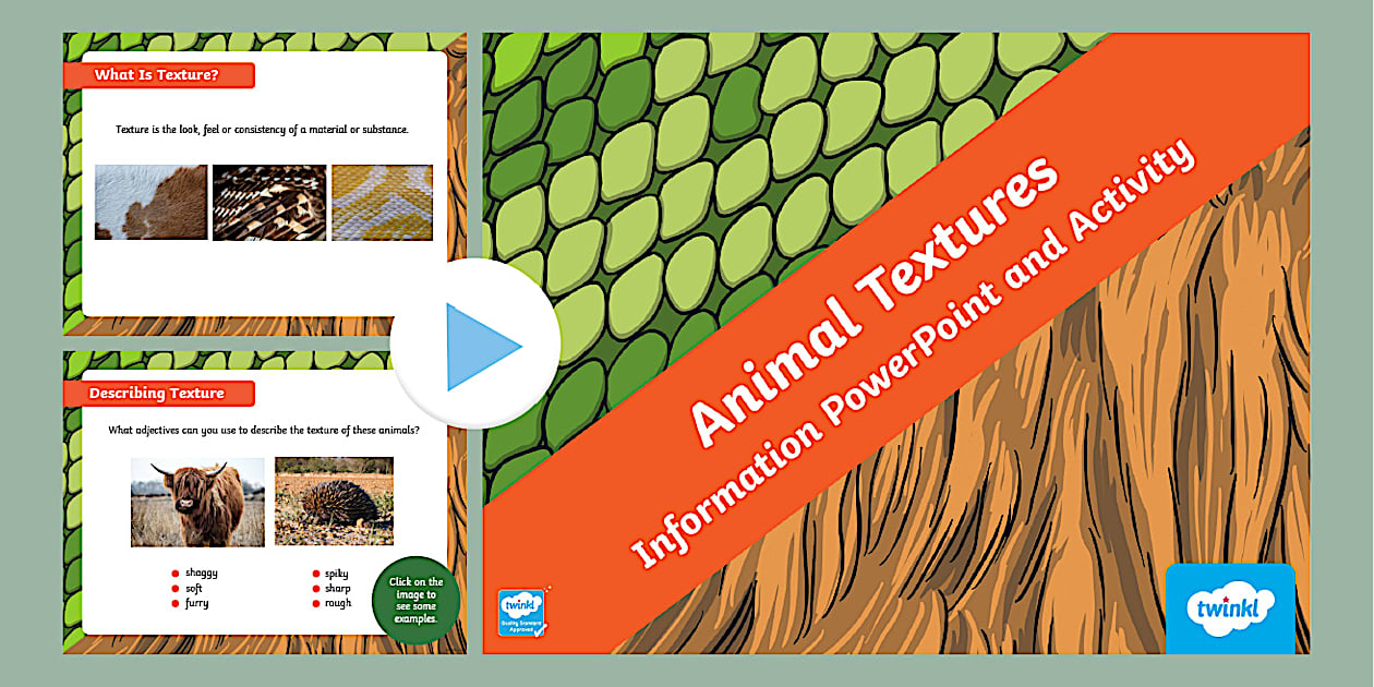 Animal Textures Visual Art Information PowerPoint - Twinkl