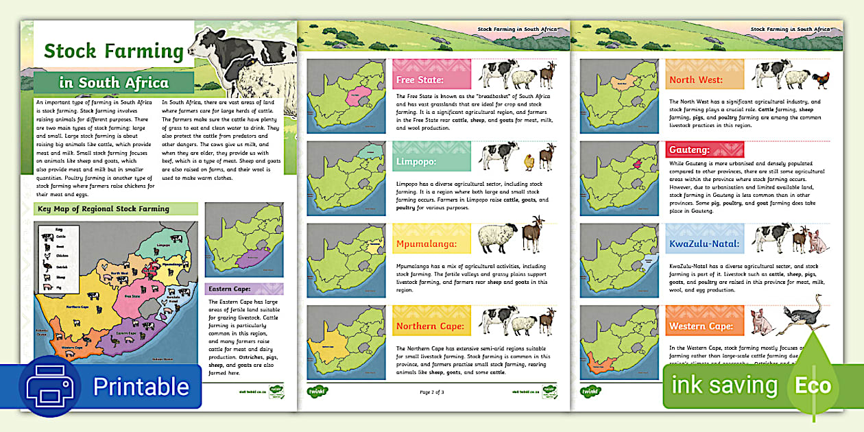 Livestock Farming in South Africa I Resource I Twinkl ZA