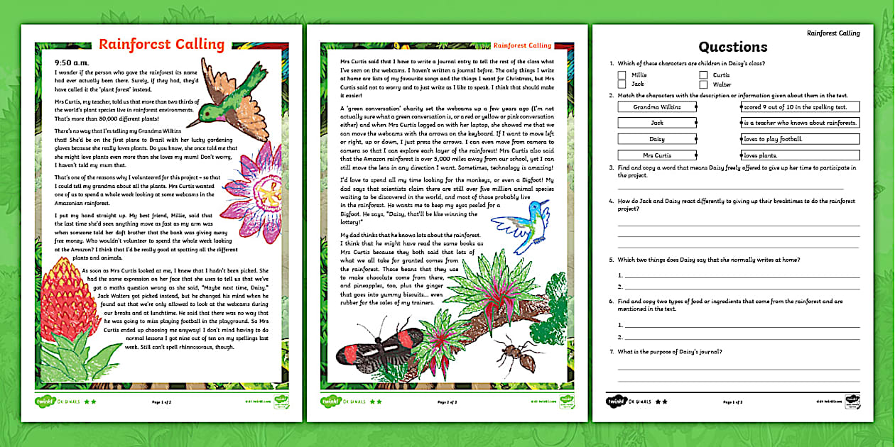 Editable 'Rainforest Calling' KS2 Fiction Differentiated Reading ...