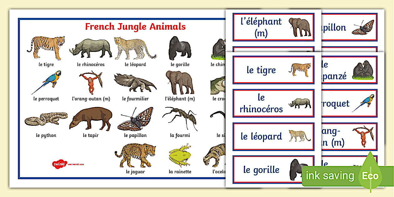 👉 French Jungle Animals Word Mat and Word Cards - Twinkl