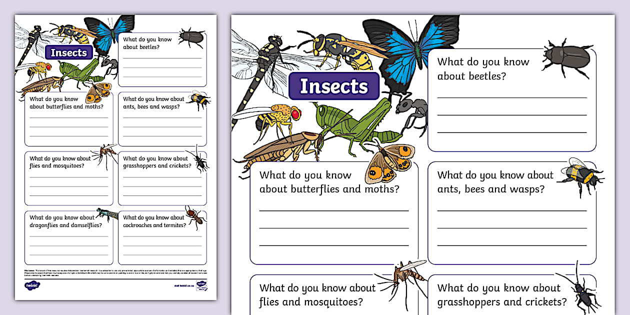 Grade 3 Life Skills Term 2 Insects Fact File Template (CAPS)