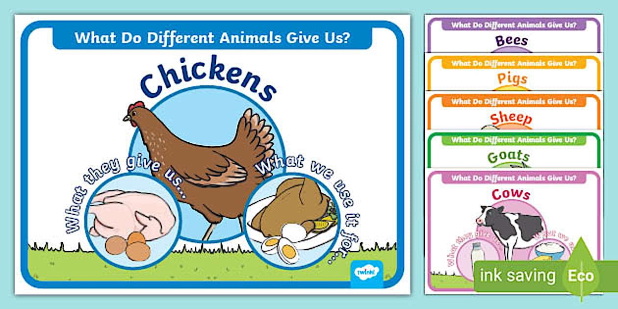 Editable What Do Different Animals Give Us Display Posters