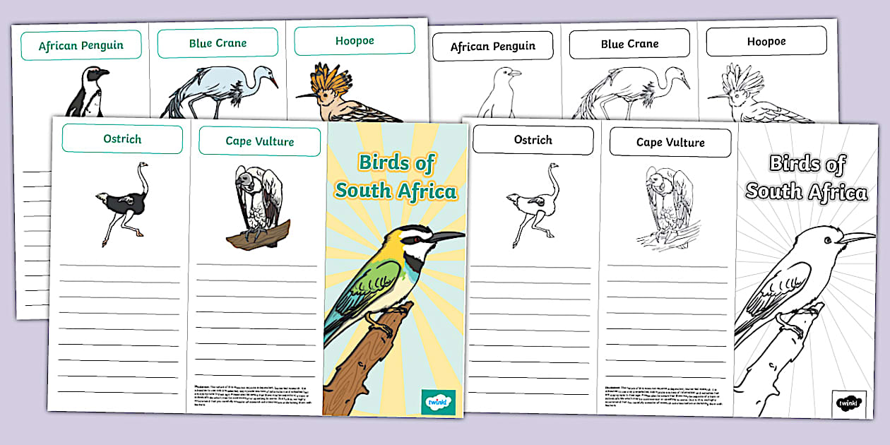 Birds of South Africa Leaflet Template (Teacher-Made)
