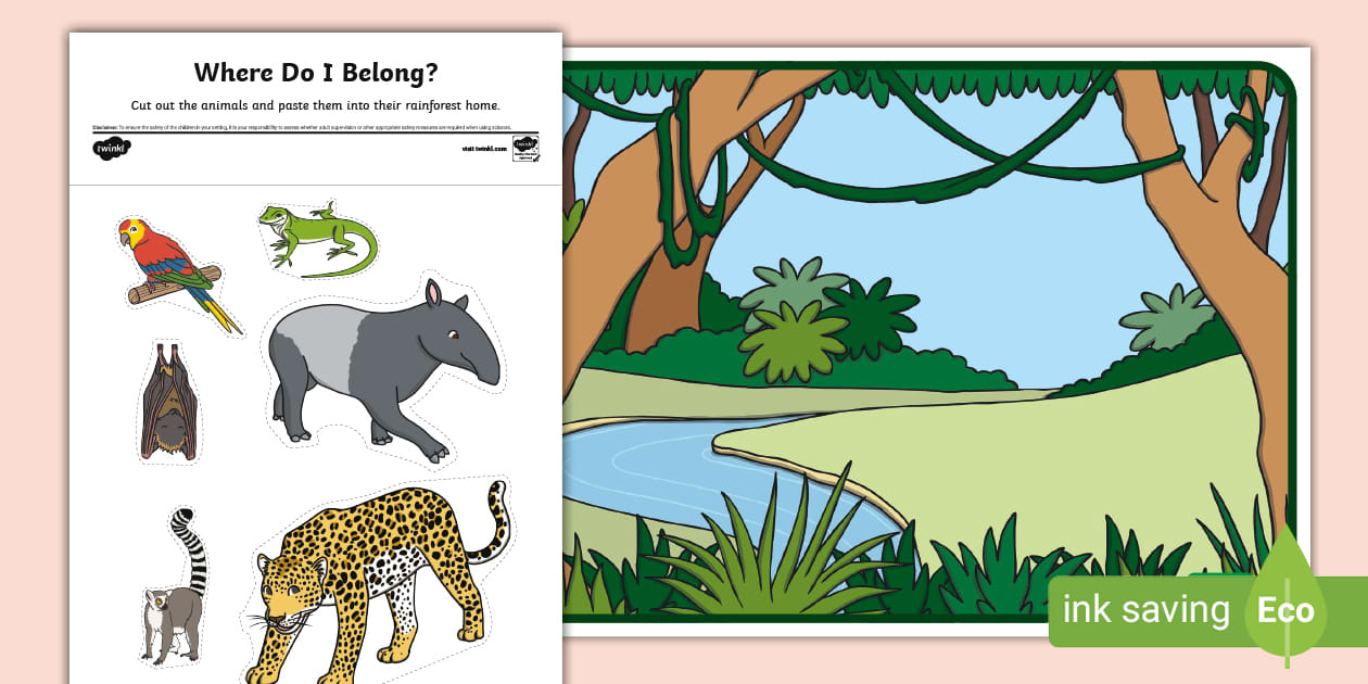 Rainforest Where Do I Live Sorting Activity (teacher made)