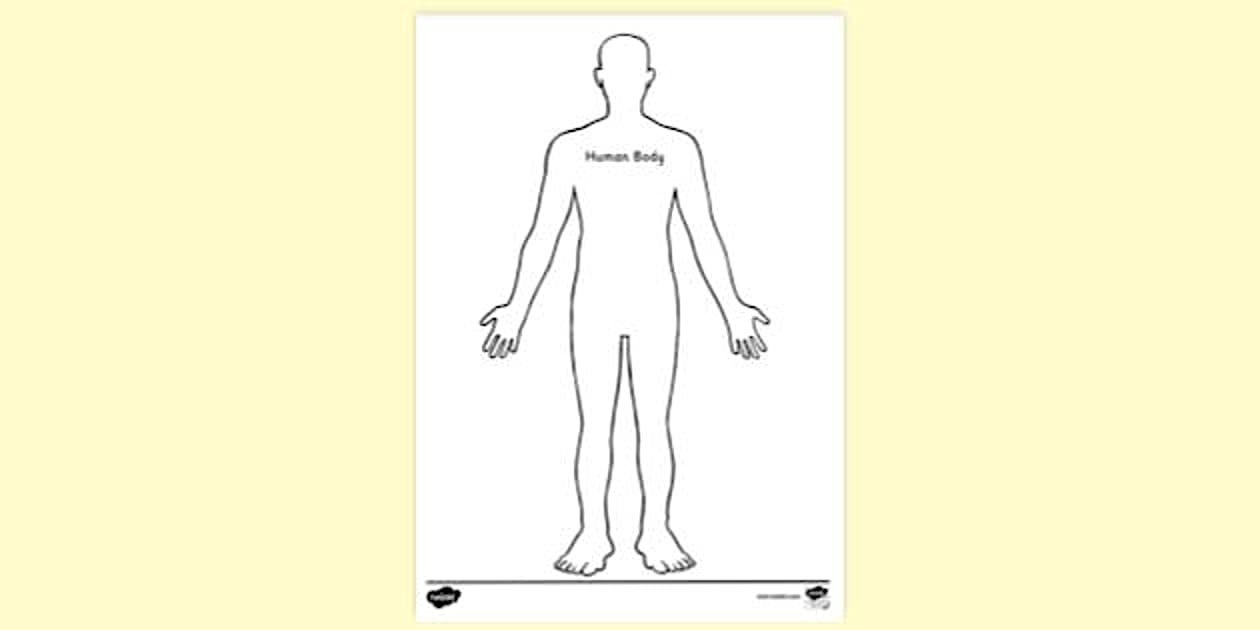 Human Body Colouring | Colouring Sheets (Teacher-Made)