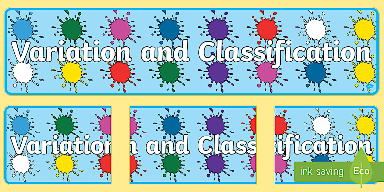Variation and Classification Display Banner (teacher made)