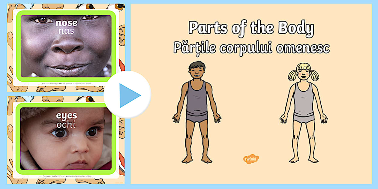 Parts of the Body PowerPoint English/Romanian - Twinkl
