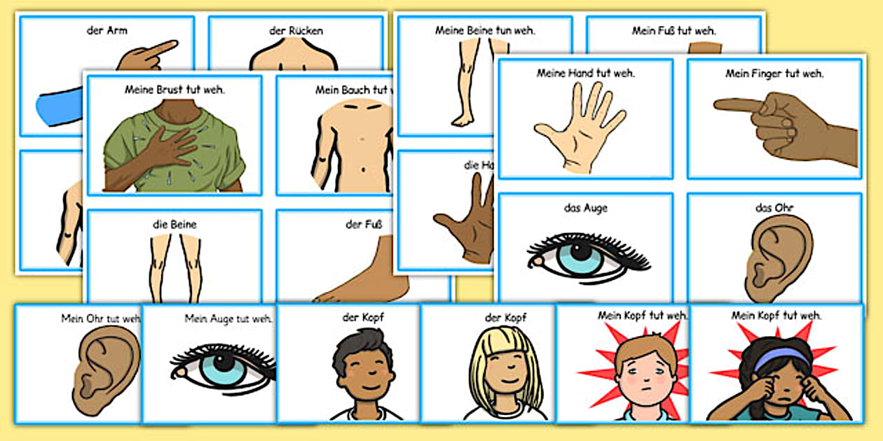 Parts of the Body Communication Cards German (teacher made)