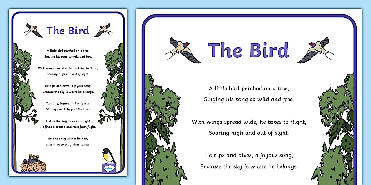 Bird Poem Display Poster (Teacher-Made) - Twinkl