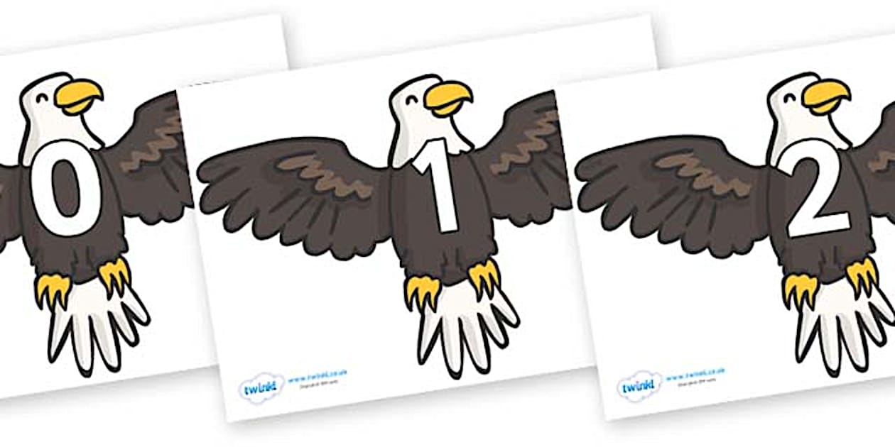 Numbers 0-31 on Eagles (teacher made) - Twinkl