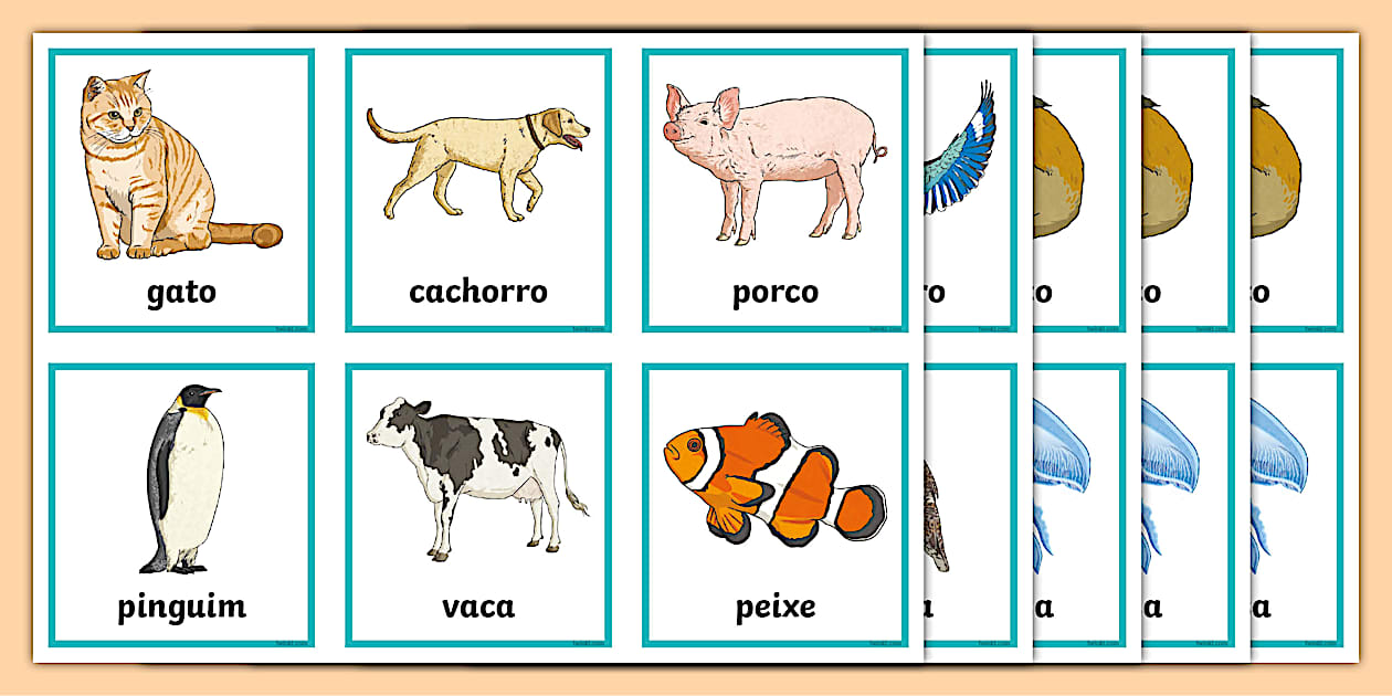 Cartões de vocabulário de animais {vocabulário} - Twinkl