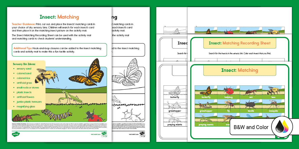 Insects Sensory Bin Matching Activity Mat - Twinkl