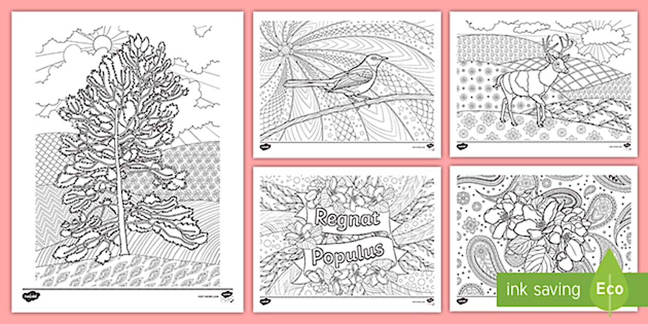 Arkansas State Symbols Mindfulness Coloring Sheets