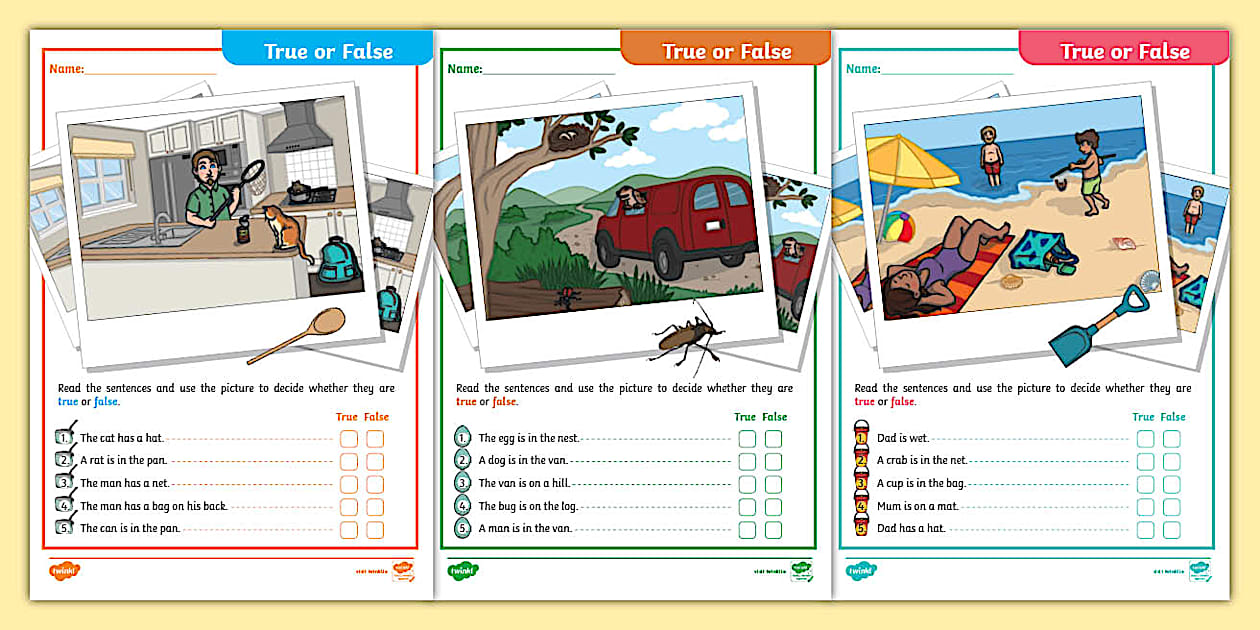 True or False Reading Worksheet (teacher made) - Twinkl