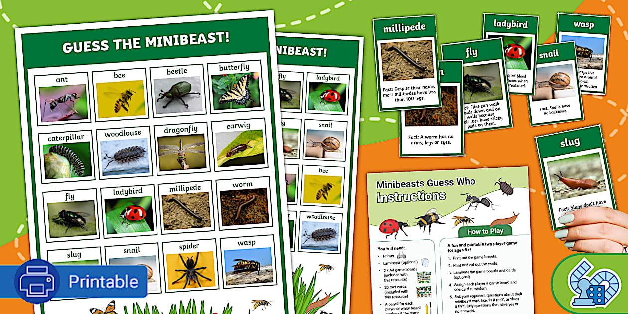 Minibeasts Guess the Picture Board Game - Minibeast Games