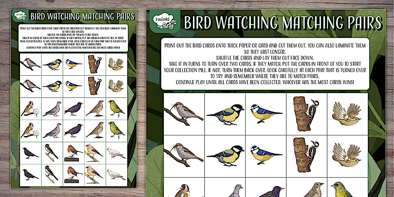 Birdwatch Matching Pairs Game | Twinkl Party (teacher made)