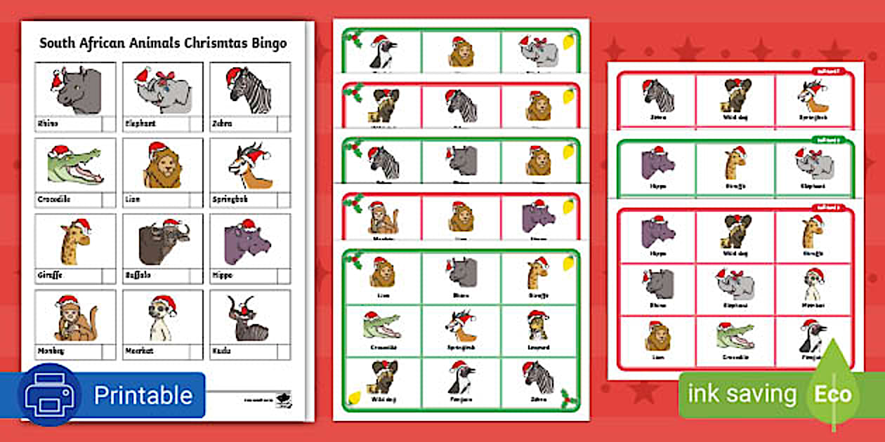 South African Animals Christmas Bingo (teacher made)