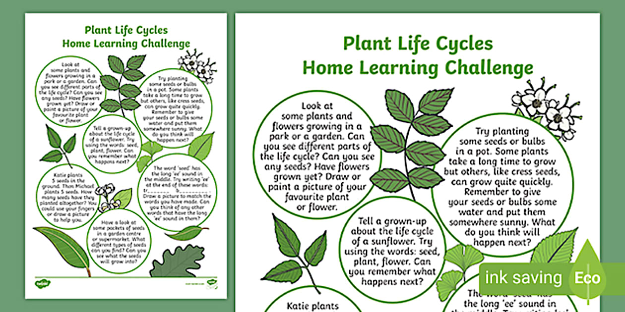 Black and White EYFS Plant Life Cycles Home Learning Challenges ...