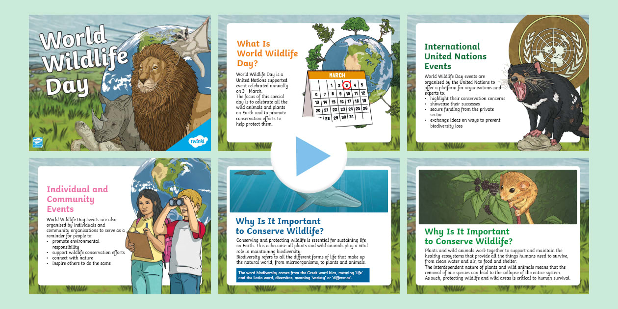 World Wildlife Day: Celebrating and Protecting Biodiversity