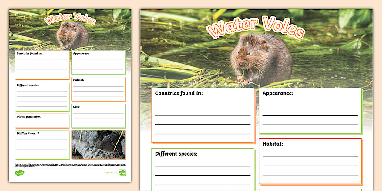 Water Voles Fact File Template (Teacher-Made) - Twinkl