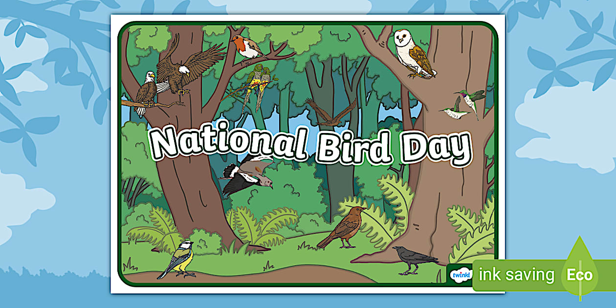 National Bird Day Display Poster (teacher made) - Twinkl