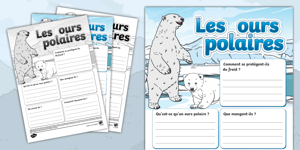 Fiche d'informations : Les ours polaires (teacher made)