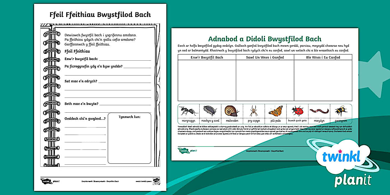 Bwystfilod Bach: Tasgau Dysgu Gartref – Gwyddoniaeth / Bioamrywiaeth