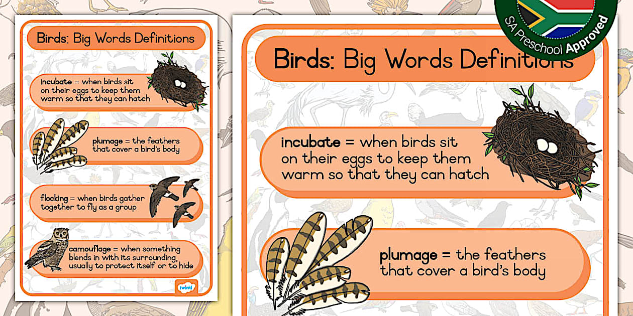 Preschool: Birds - Big Words Definitions Poster