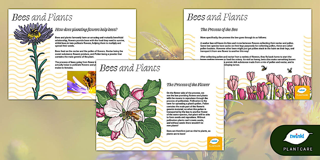Bees and Plants | Pollination, Honey, Flowers, plantcare,
