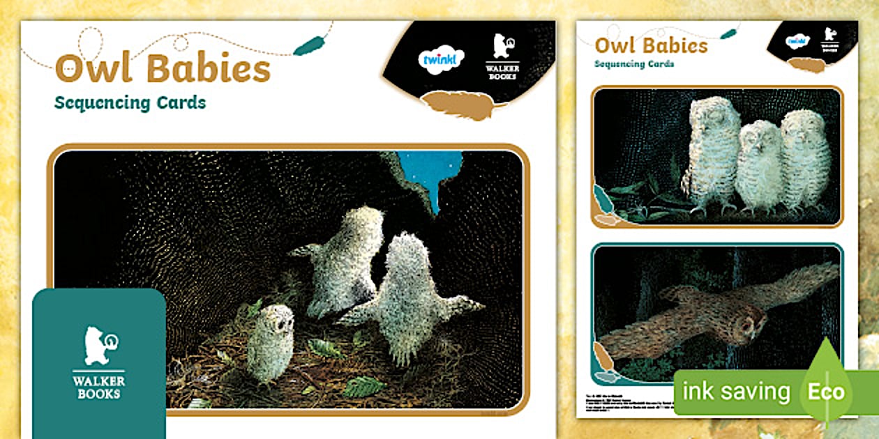 Owl Babies Story Sequencing Cards | Primary Resources