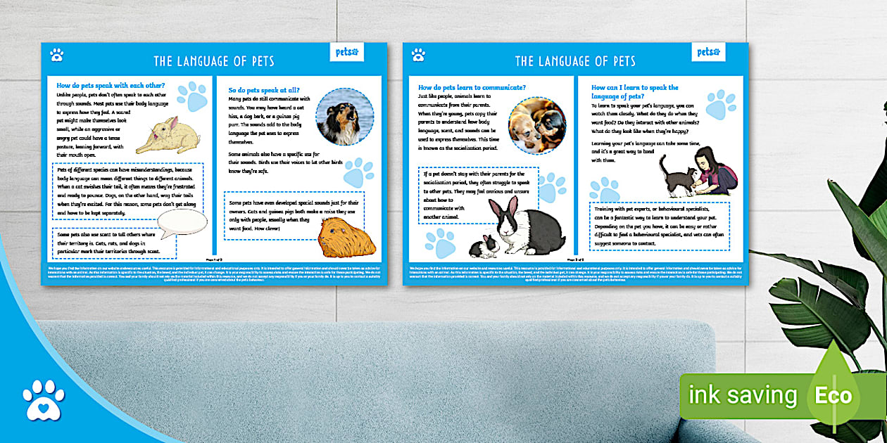 The Language of Pets - Infographic - Twinkl Pets - Twinkl