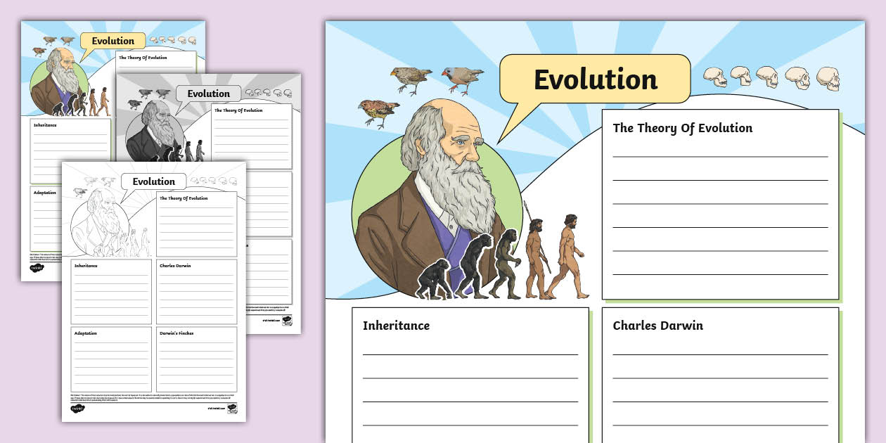 Evolution Fact File Template (teacher made) - Twinkl