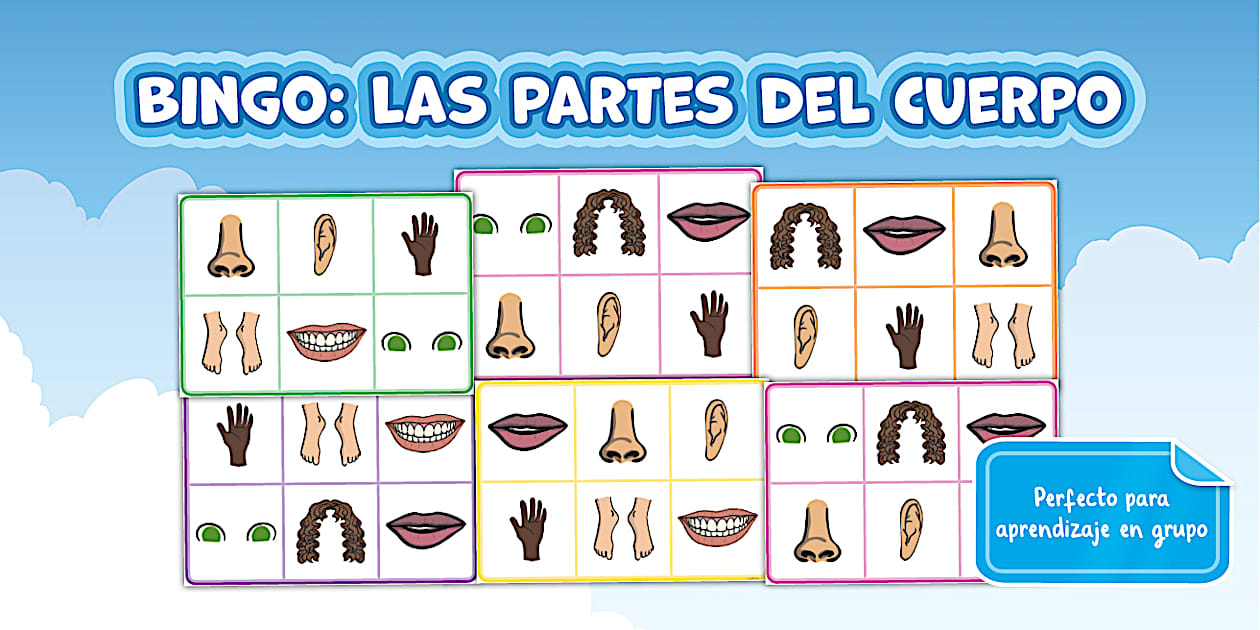 Bingo: Las partes del cuerpo