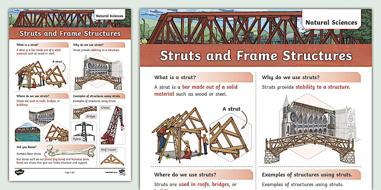 Grade 4: NS: Struts and Frame Structures: Fact File - Twinkl