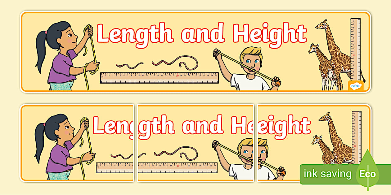 👉 Length and Height Display Banner (teacher made) 👉 Length and Height Display Banner (teacher made)